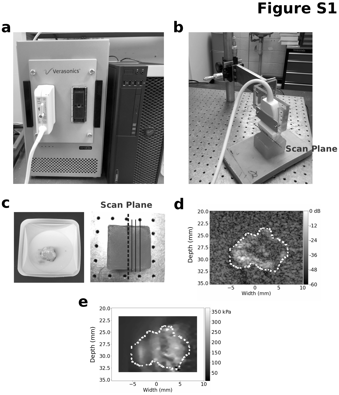 Elastography Can Map the Local Inverse Relationship between Shear ...