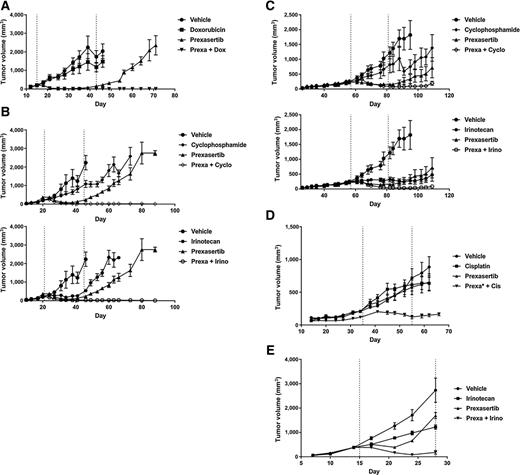 Broad Spectrum Activity of the Checkpoint Kinase 1 Inhibitor ...