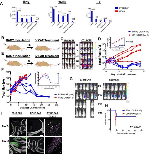 CAR T Cells Targeting B7-H3, a Pan-Cancer Antigen, Demonstrate Potent ...