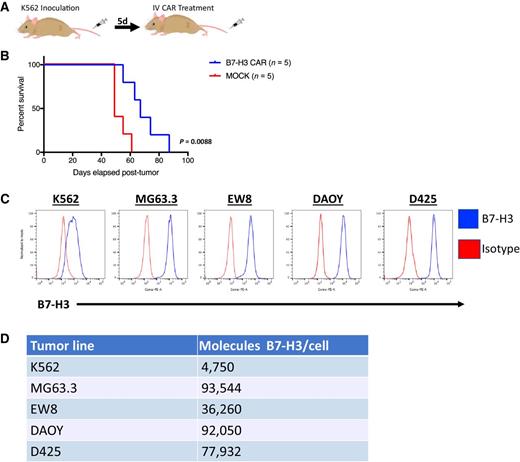 CAR T Cells Targeting B7-H3, a Pan-Cancer Antigen, Demonstrate Potent ...