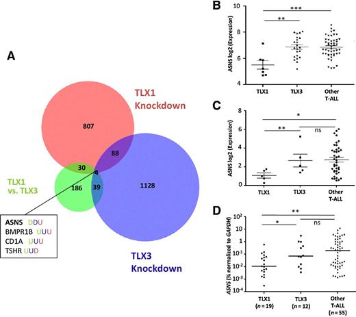Epigenetic Silencing Affects l-Asparaginase Sensitivity and Predicts ...