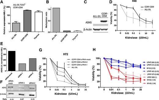 Epigenetic Silencing Affects l-Asparaginase Sensitivity and Predicts ...
