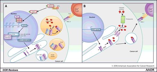 Biological Consequences of MHC-II Expression by Tumor Cells in Cancer ...