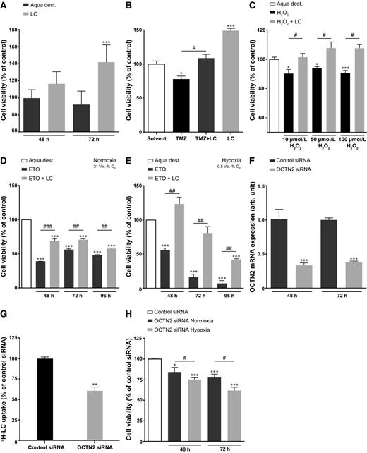 L-Carnitine–Mediated Tumor Cell Protection and Poor Patient Survival ...
