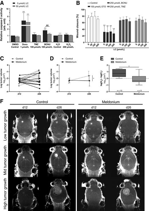 L-Carnitine–Mediated Tumor Cell Protection and Poor Patient Survival ...