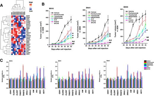 EGFR/Notch Antagonists Enhance the Response to Inhibitors of the PI3K ...