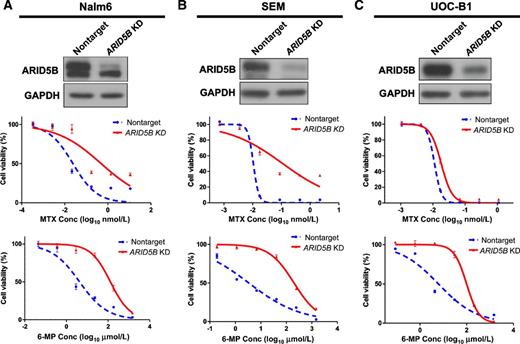 ARID5B Influences Antimetabolite Drug Sensitivity and Prognosis of ...