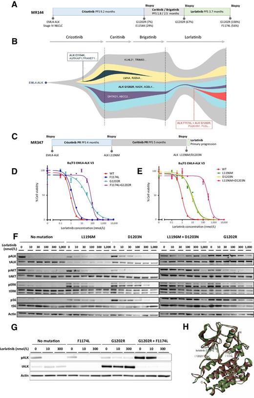 Diverse Resistance Mechanisms to the Third-Generation ALK Inhibitor ...