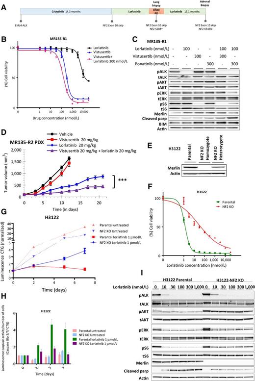 Diverse Resistance Mechanisms to the Third-Generation ALK Inhibitor ...