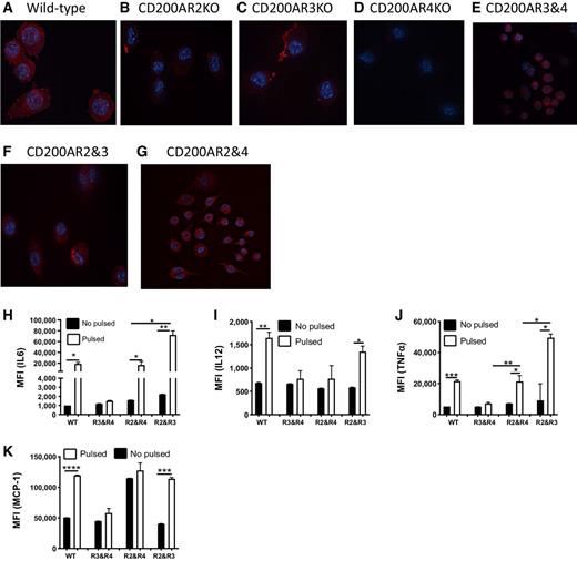 CD200 Checkpoint Reversal: A Novel Approach to Immunotherapy | Clinical ...