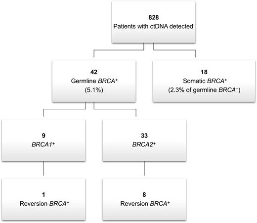 Routine Plasma-Based Genotyping to Comprehensively Detect Germline ...