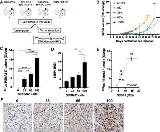 Investigating PSMA-Targeted Radioligand Therapy Efficacy as a Function ...