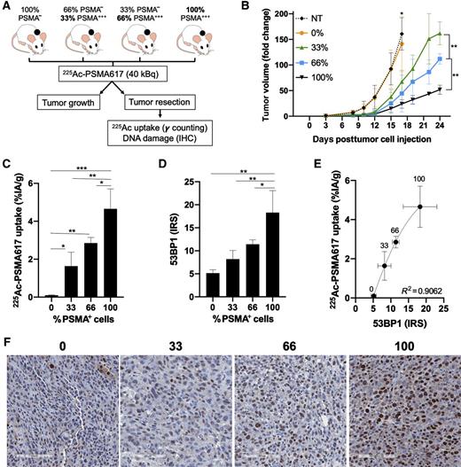 Investigating PSMA-Targeted Radioligand Therapy Efficacy as a Function ...