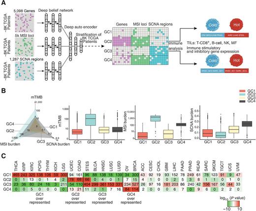 Multifactorial Deep Learning Reveals Pan-Cancer Genomic Tumor Clusters ...