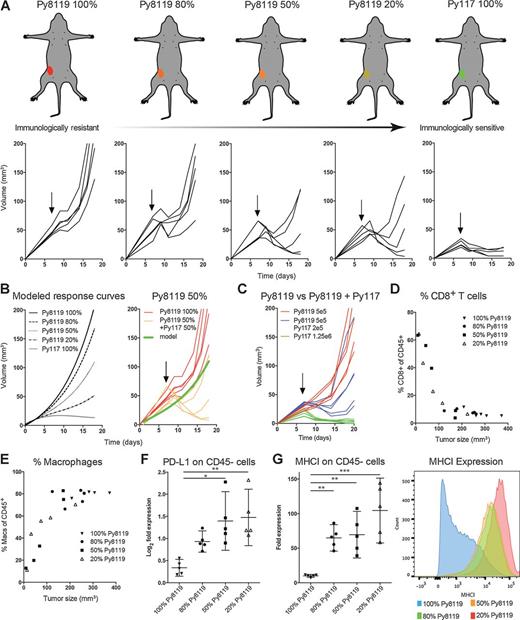 Induced Tumor Heterogeneity Reveals Factors Informing Radiation and ...