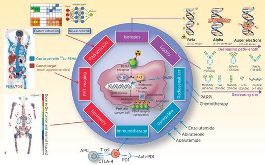 Mechanistic Insights for Optimizing PSMA Radioligand Therapy | Clinical ...