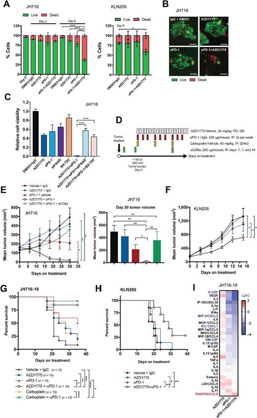 Generation of Genetically Engineered Mouse Lung Organoid Models for ...