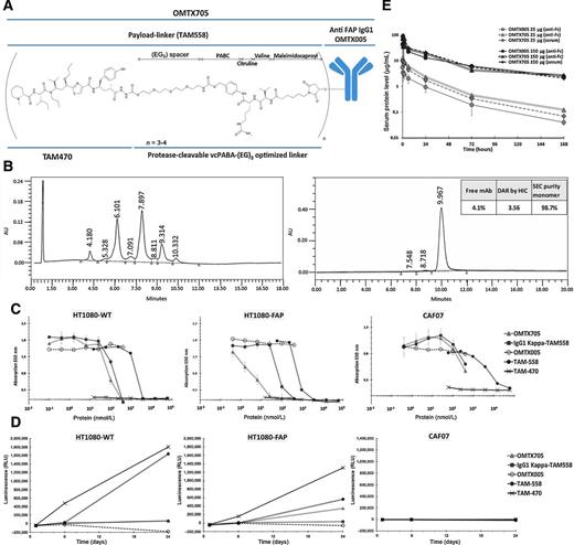 OMTX705, a Novel FAP-Targeting ADC Demonstrates Activity in ...