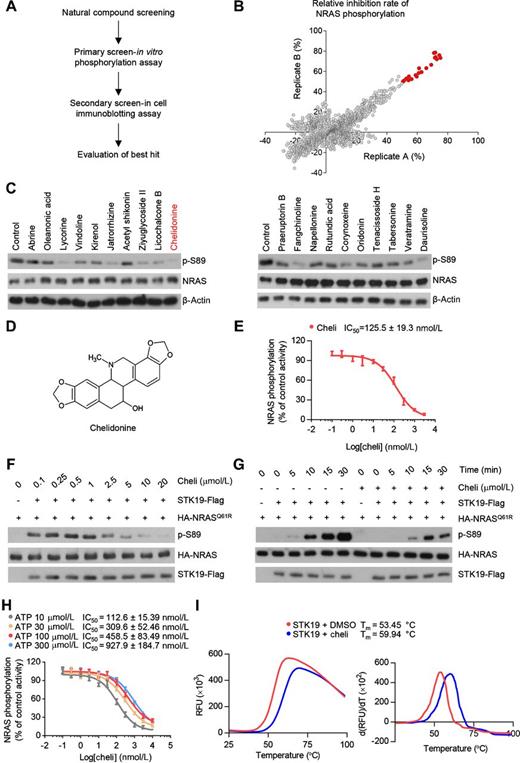 Targeting NRAS-Mutant Cancers with the Selective STK19 Kinase Inhibitor ...
