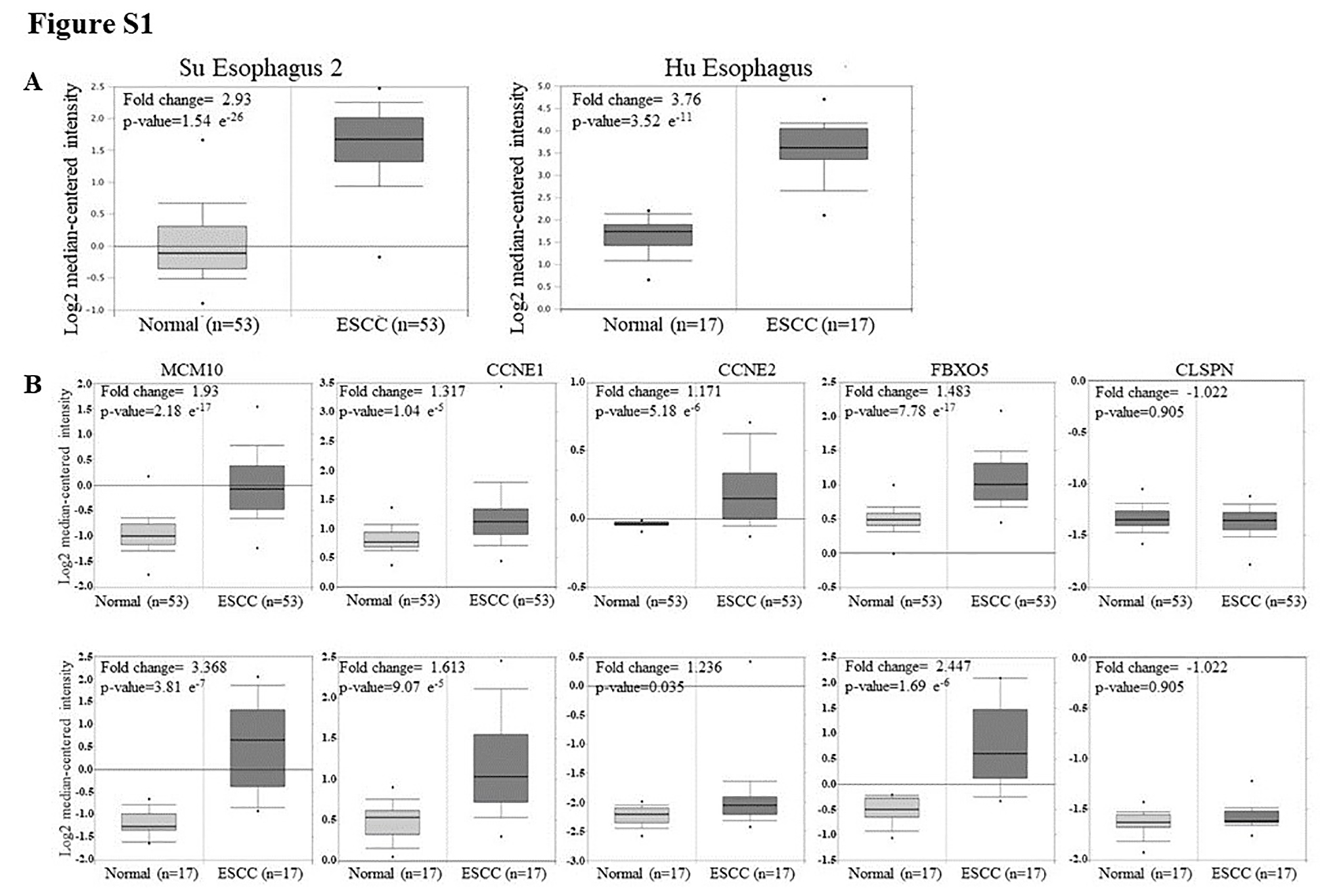 Wee1 Kinase Inhibitor AZD1775 Effectively Sensitizes Esophageal Cancer ...