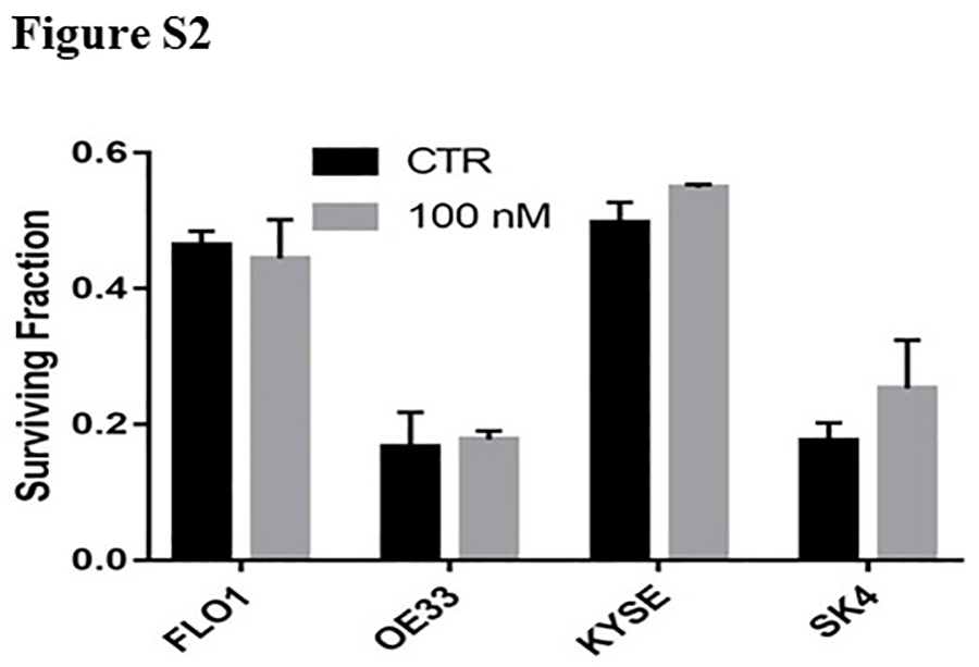 Wee1 Kinase Inhibitor AZD1775 Effectively Sensitizes Esophageal Cancer ...