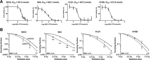 Wee1 Kinase Inhibitor AZD1775 Effectively Sensitizes Esophageal Cancer ...