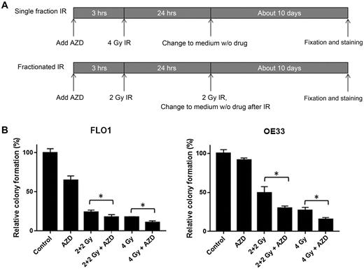 Wee1 Kinase Inhibitor AZD1775 Effectively Sensitizes Esophageal Cancer ...