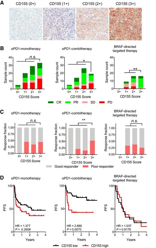 Tumor CD155 Expression Is Associated with Resistance to Anti-PD1 ...