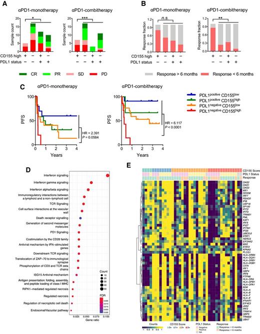 Tumor CD155 Expression Is Associated with Resistance to Anti-PD1 ...