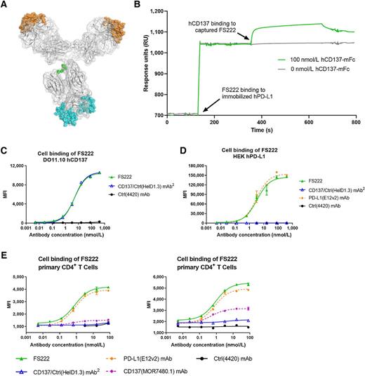 FS222, a CD137/PD-L1 Tetravalent Bispecific Antibody, Exhibits Low ...