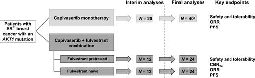 Capivasertib, an AKT Kinase Inhibitor, as Monotherapy or in Combination ...