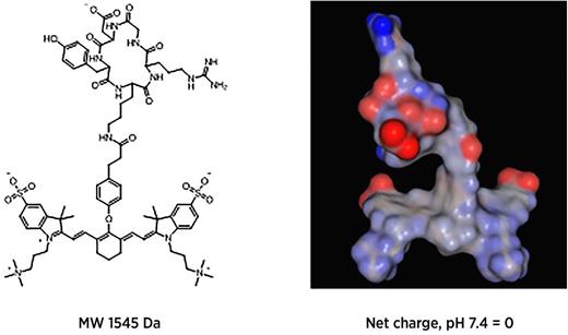 First-in-Human Assessment of cRGD-ZW800-1, a Zwitterionic, Integrin ...
