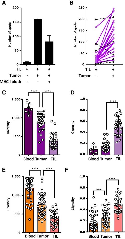 The Outcome of Ex Vivo TIL Expansion Is Highly Influenced by Spatial ...