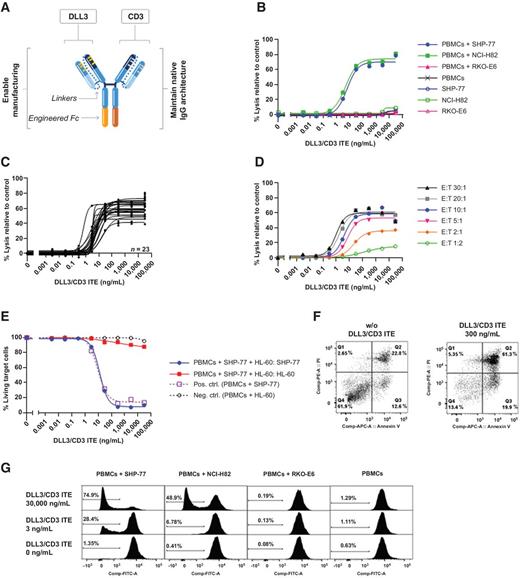 A Bispecific DLL3/CD3 IgG-Like T-Cell Engaging Antibody Induces Antitumor Responses in Small ...