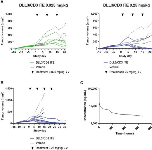 A Bispecific DLL3/CD3 IgG-Like T-Cell Engaging Antibody Induces ...
