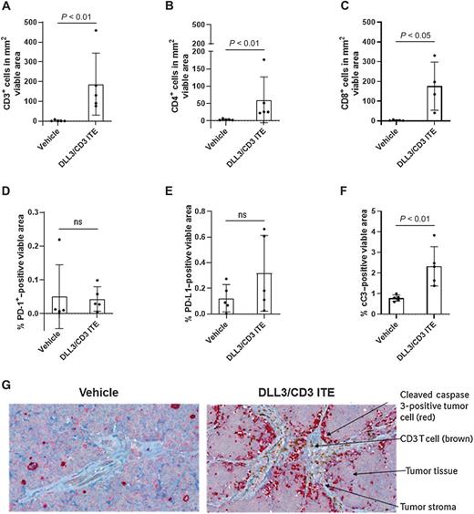 A Bispecific DLL3/CD3 IgG-Like T-Cell Engaging Antibody Induces ...