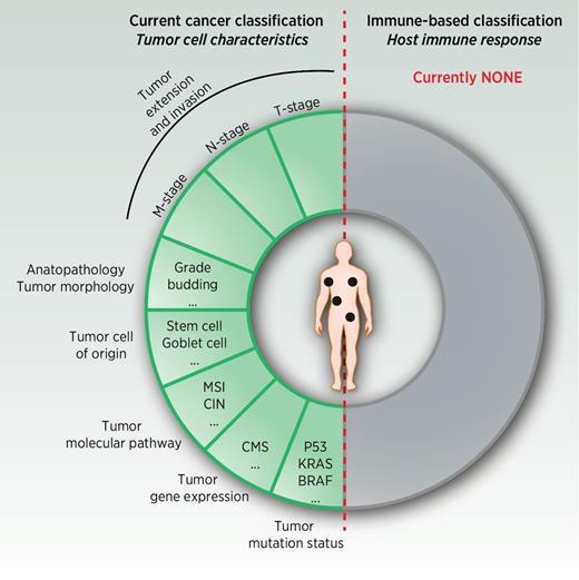 The Immunoscore: Colon Cancer and Beyond | Clinical Cancer Research ...