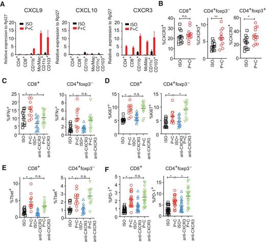 Macrophage-Derived CXCL9 and CXCL10 Are Required for Antitumor Immune Responses Following Immune ...