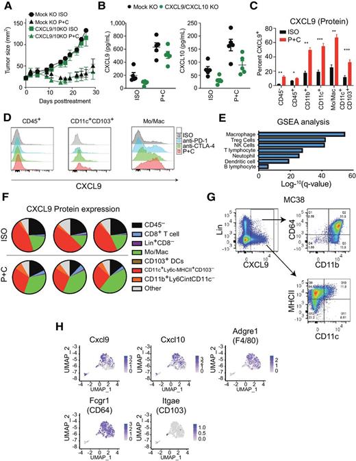 Macrophage-Derived CXCL9 and CXCL10 Are Required for Antitumor Immune ...