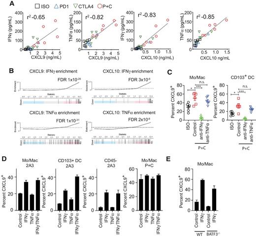 Macrophage-Derived CXCL9 and CXCL10 Are Required for Antitumor Immune ...