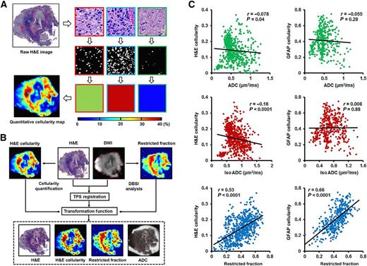 Diffusion Histology Imaging Combining Diffusion Basis Spectrum Imaging ...