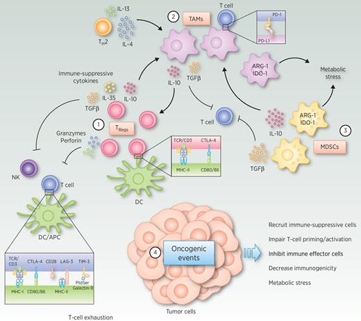 Integrating Immunotherapy and Targeted Therapy in Cancer Treatment ...