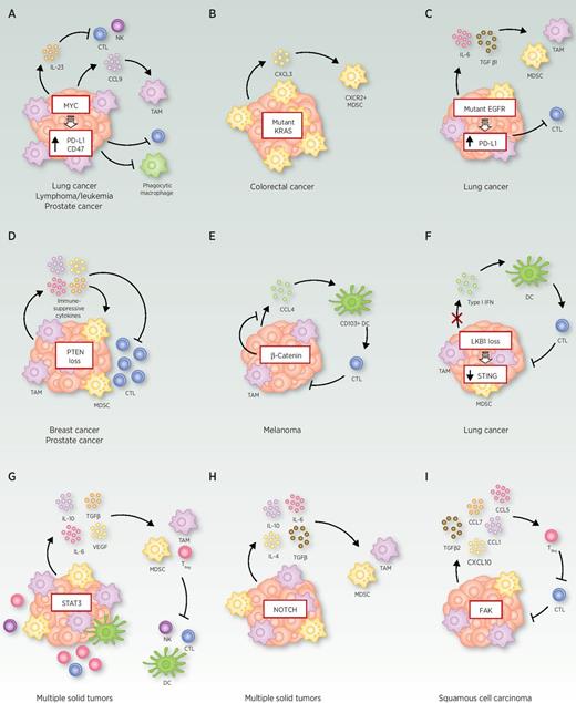 Integrating Immunotherapy and Targeted Therapy in Cancer Treatment ...