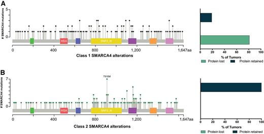 The Genomic Landscape of SMARCA4 Alterations and Associations with ...