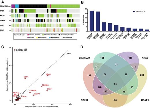 The Genomic Landscape of SMARCA4 Alterations and Associations with ...