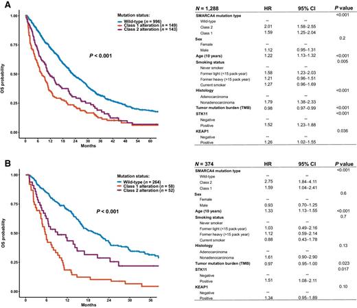 The Genomic Landscape of SMARCA4 Alterations and Associations with ...