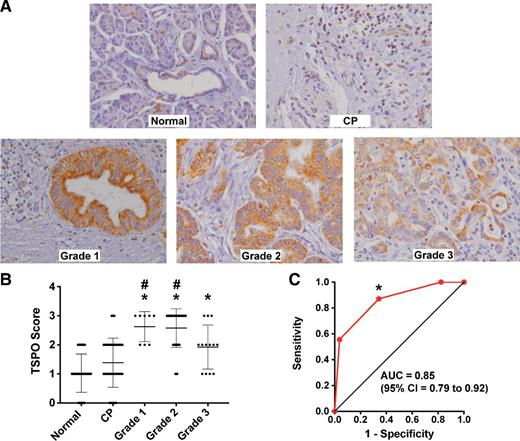 TSPO-targeted PET and Optical Probes for the Detection and Localization ...