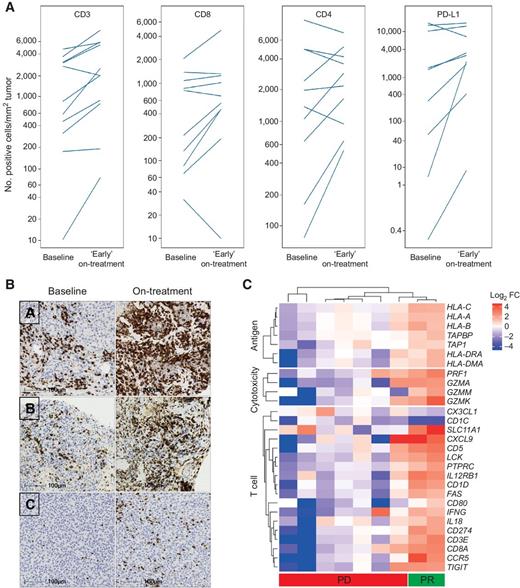 Tebentafusp, A TCR/Anti-CD3 Bispecific Fusion Protein Targeting gp100 ...