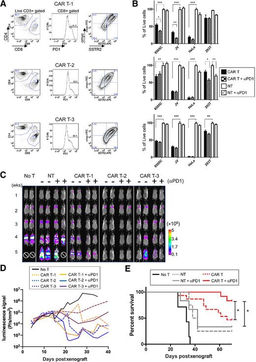 PD1 Blockade Enhances ICAM1-Directed CAR T Therapeutic Efficacy in ...