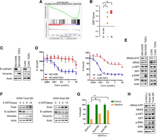 Epithelial-to-Mesenchymal Transition is a Cause of Both Intrinsic and ...